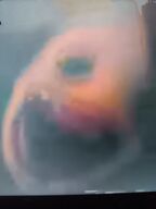 Terminal Rally | Vita Carnis Wiki | Fandom