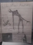 Trucidatum Carnis | Vita Carnis Wiki | Fandom