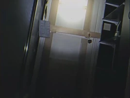 Terminal Rally | Vita Carnis Wiki | Fandom