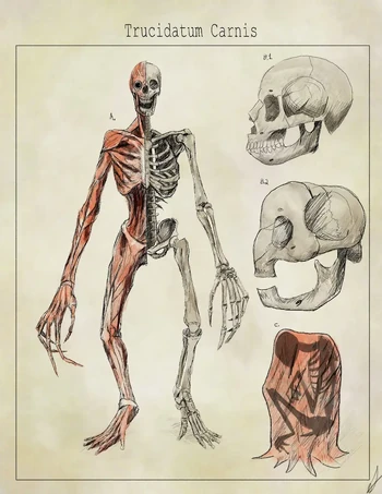 Trucidatum Carnis | Vita Carnis Wiki | Fandom