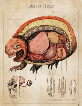 Ignavus Carnis | Vita Carnis Wiki | Fandom