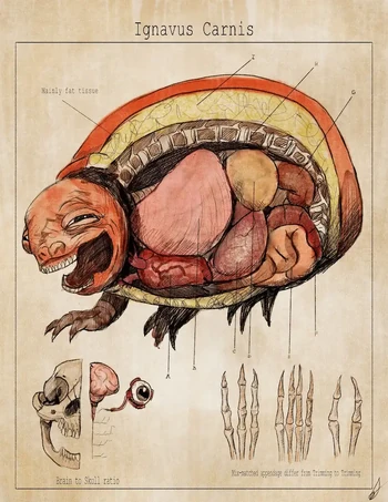 Ignavus Carnis | Vita Carnis Wiki | Fandom