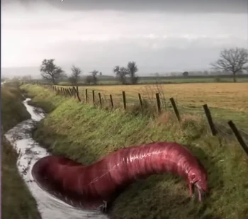 Mutuari Carnis | Vita Carnis Wiki | Fandom