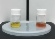 Congregentur Carnis | Vita Carnis Wiki | Fandom