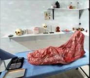 Revealed Progress | Vita Carnis Wiki | Fandom