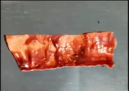 Revealed Progress | Vita Carnis Wiki | Fandom