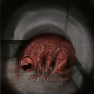 Ignavus Carnis | Vita Carnis Wiki | Fandom