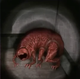 Ignavus Carnis | Vita Carnis Wiki | Fandom