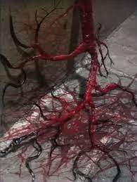 Scandere Carnis | Vita Carnis Wiki | Fandom