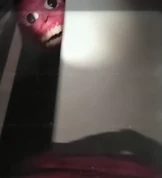 Trucidatum Carnis | Vita Carnis Wiki | Fandom