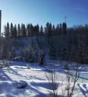 Imperium Carnis | Vita Carnis Wiki | Fandom