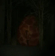 Congregentur Carnis | Vita Carnis Wiki | Fandom