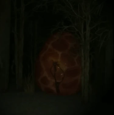 C.A.R.C.A.S | Vita Carnis Wiki | Fandom