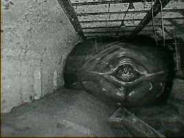 Meat Snake Specimen | Vita Carnis Wiki | Fandom