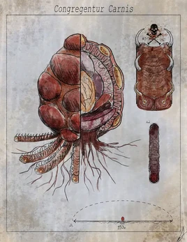 Congregentur Carnis | Vita Carnis Wiki | Fandom
