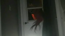 Mimic defense instructional tape | Vita Carnis Wiki | Fandom