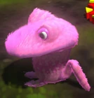 Lackatoad | Viva Piñata Wiki | Fandom