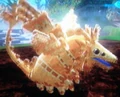 Dragonache | Viva Piñata Wiki | Fandom