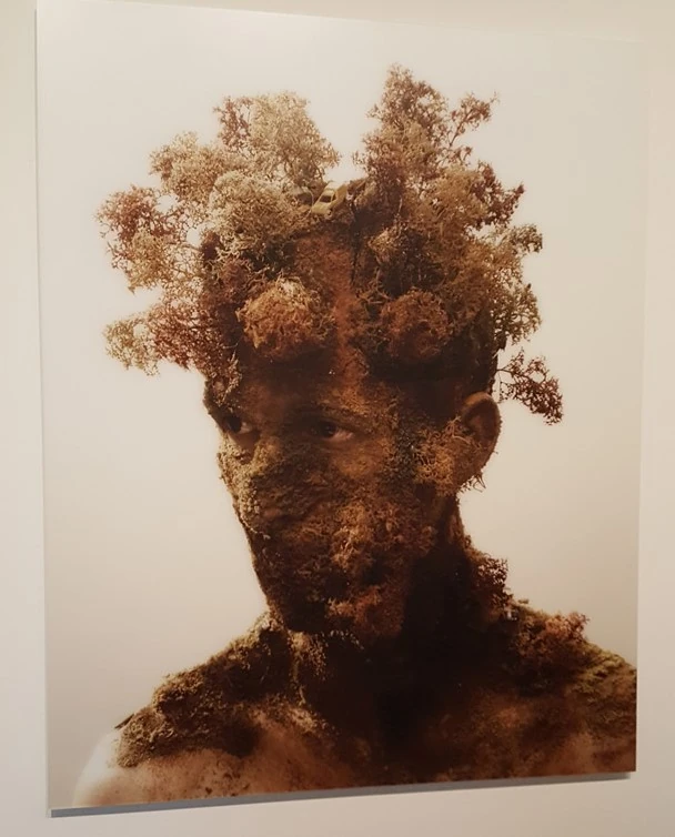 The Vanara | Vivian Amberville Wiki | Fandom