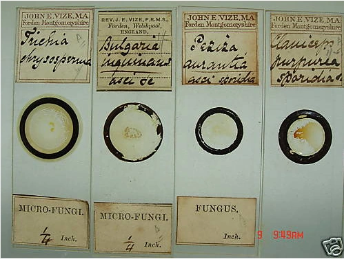 Rev John Edward Vize 1831-1916 | Vize Family History Wiki | Fandom