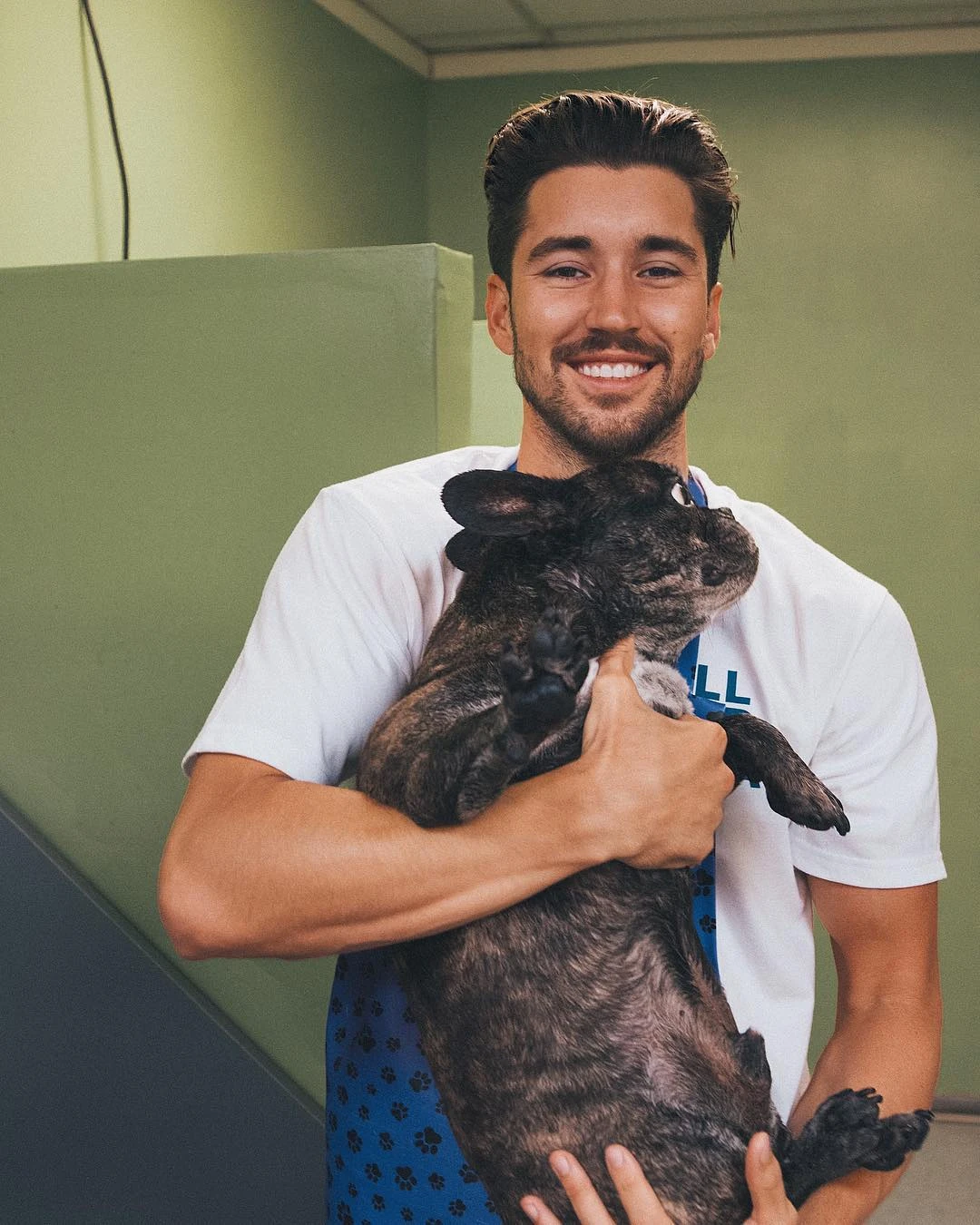 Jeffrey Wittek | Vlog Squad Wiki | Fandom