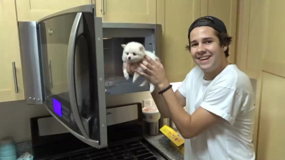 Vlog 1 | Vlog Squad Wiki | Fandom