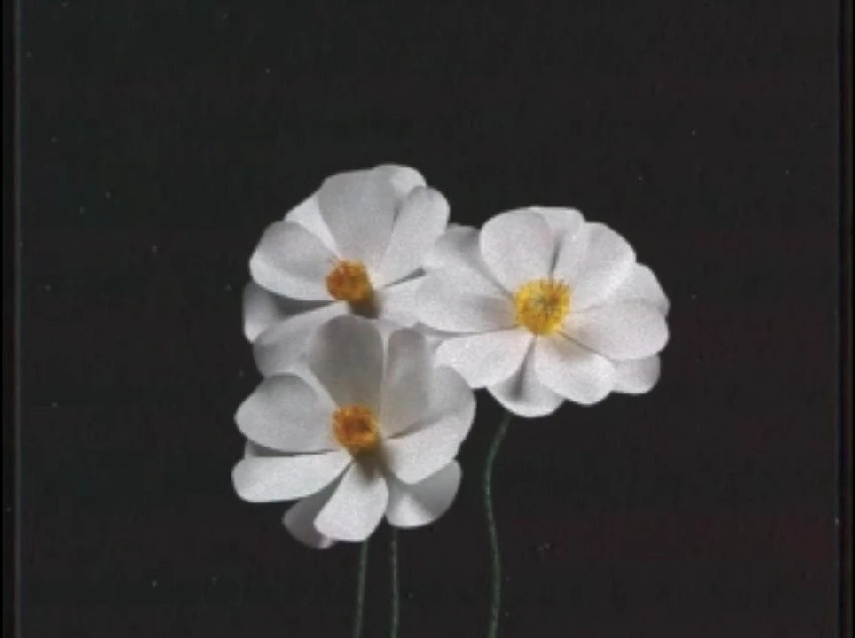 再生 (Saisei)/Picon | Vocaloid Wiki | Fandom