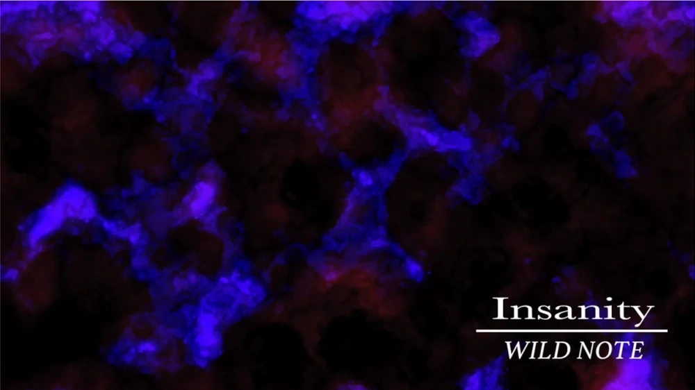 Insanity | Vocaloid Wiki | Fandom