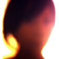 Mimiko-P | Vocaloid Wiki | Fandom