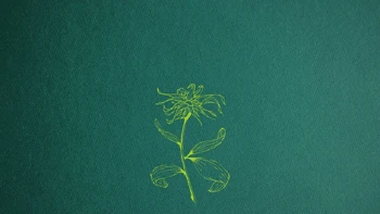 Flos | Vocaloid Wiki | Fandom