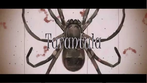 Tarantula | Vocaloid Wiki | Fandom