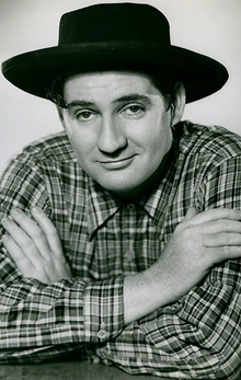 Pat Buttram | Voice Actors from the world Wikia | Fandom