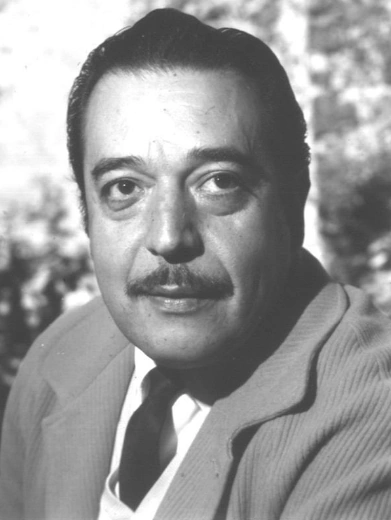 Guillermo Romo | Voice Actors from the world Wikia | Fandom