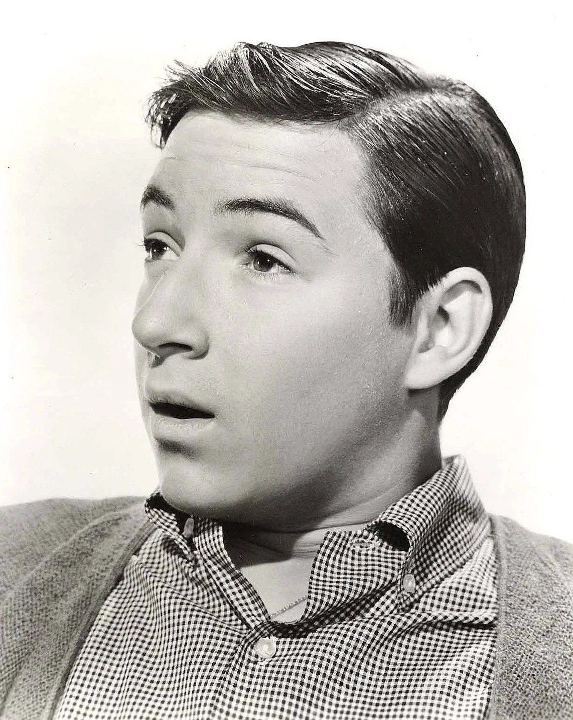 Barry Gordon | Voice Adventures for the World Wiki | Fandom