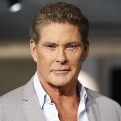 David Hasselhoff | Voice over and voice acting Wiki | Fandom