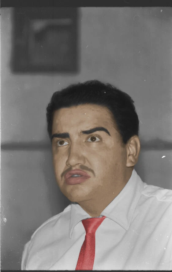 Francisco Colmenero | Voice over and voice acting Wiki | Fandom