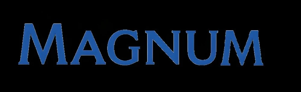 Magnum Estudios | Voice over and voice acting Wiki | Fandom