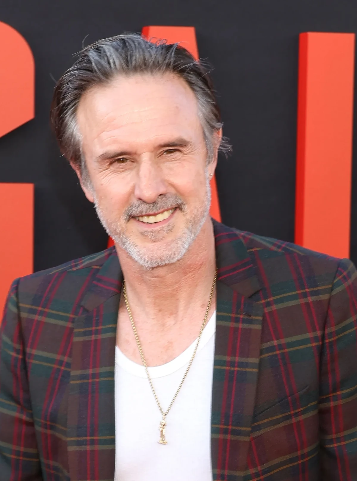 David Arquette | Voice over and voice acting Wiki | Fandom