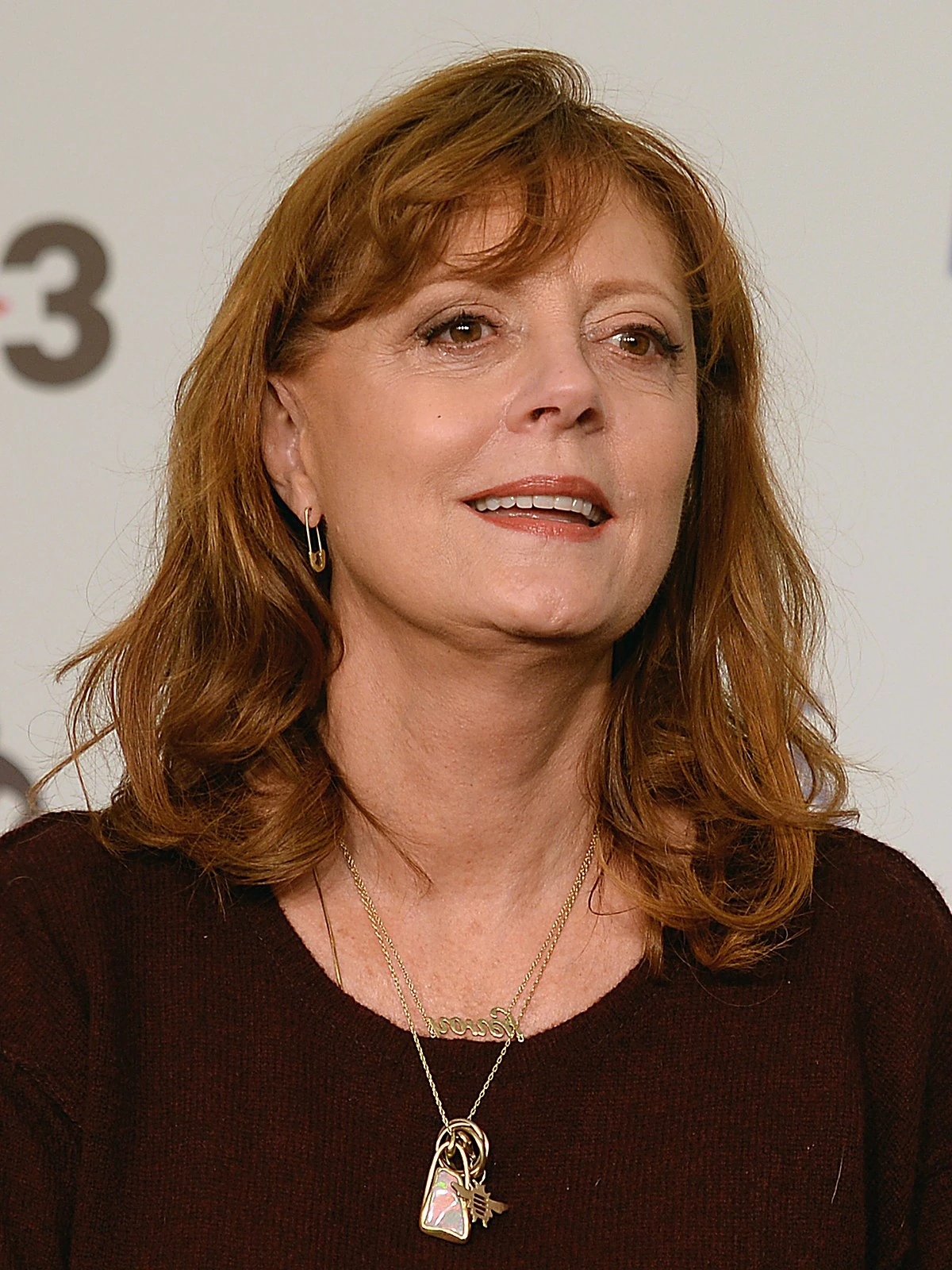 Susan Sarandon | Voice over and voice acting Wiki | Fandom