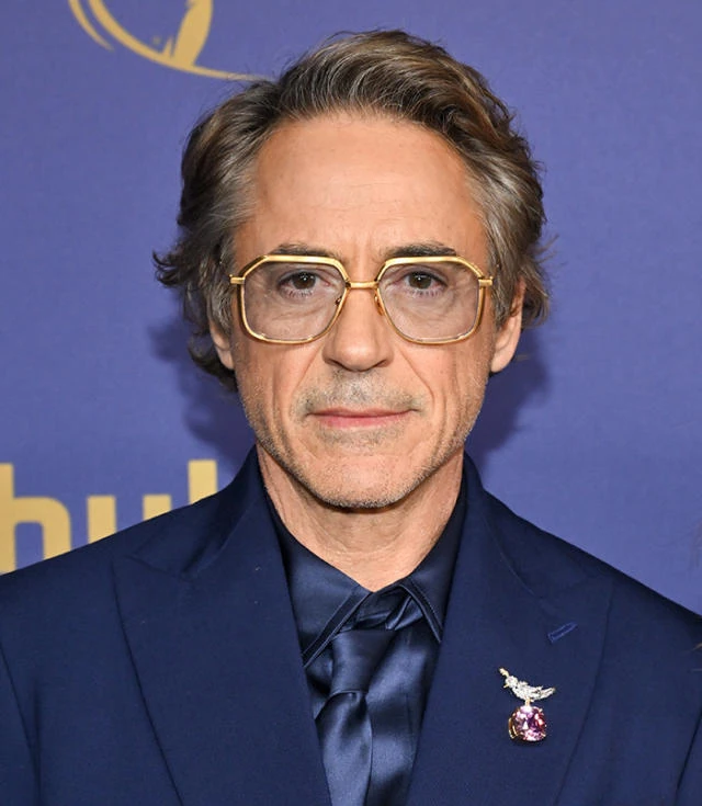 Robert Downey Jr. | Voice over and voice acting Wiki | Fandom