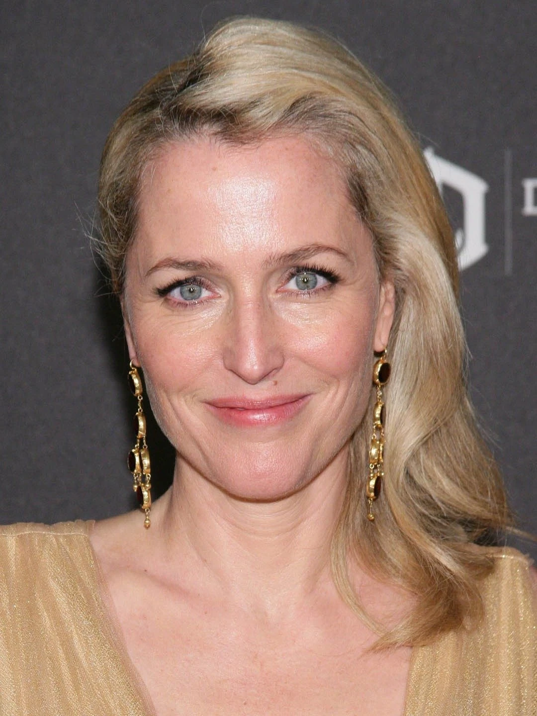 Gillian Anderson | Anime Voice-Over Wiki | Fandom