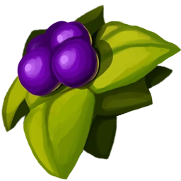 Grape seeds | Voidbound: Beyond Survival Wiki | Fandom