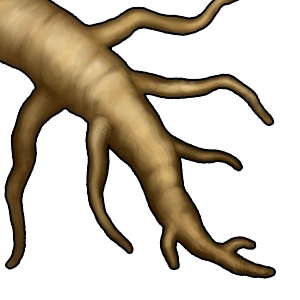 Earthroot | Voidbound: Beyond Survival Wiki | Fandom