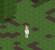 Bob | Wikia Voidpixel | Fandom