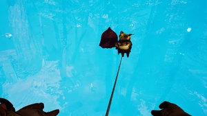 The Arena | Voidtrain Wiki | Fandom