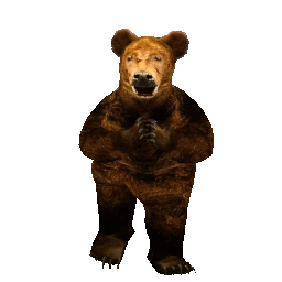 Bear | Voima Wiki | Fandom