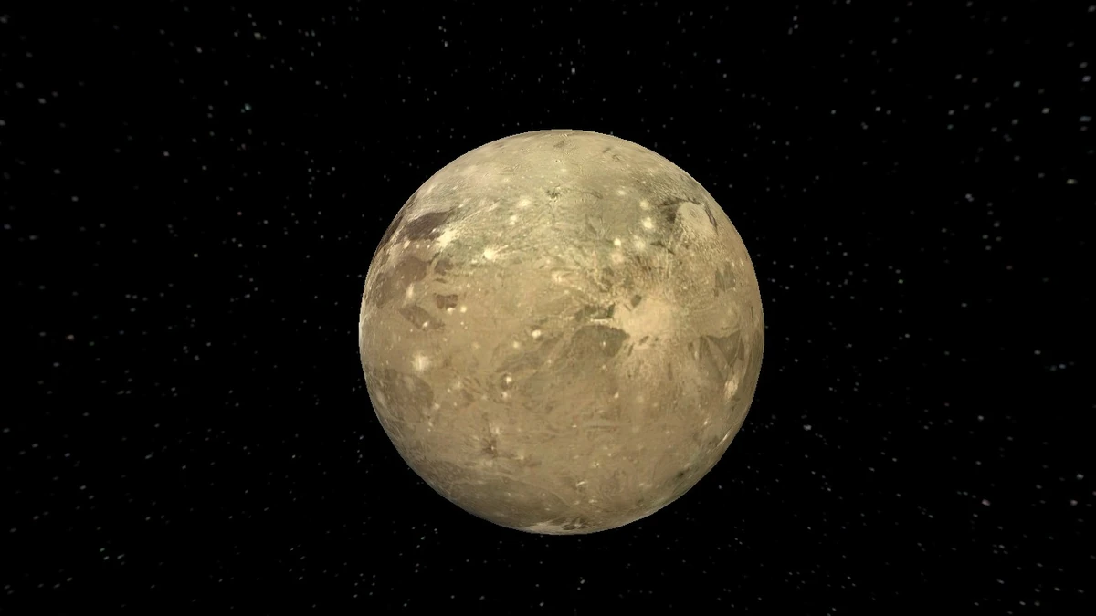 Caestus | Volkoff Gamers Wiki | Fandom