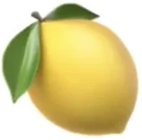 Lemon | Volleyball and Coffee Wiki | Fandom