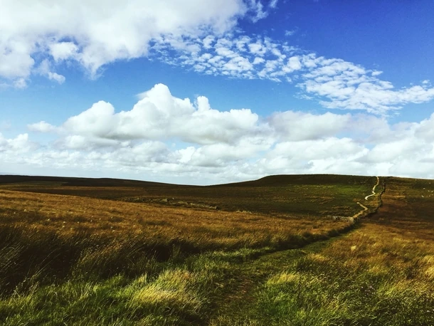 Triboar Trail | V&D Wiki | Fandom