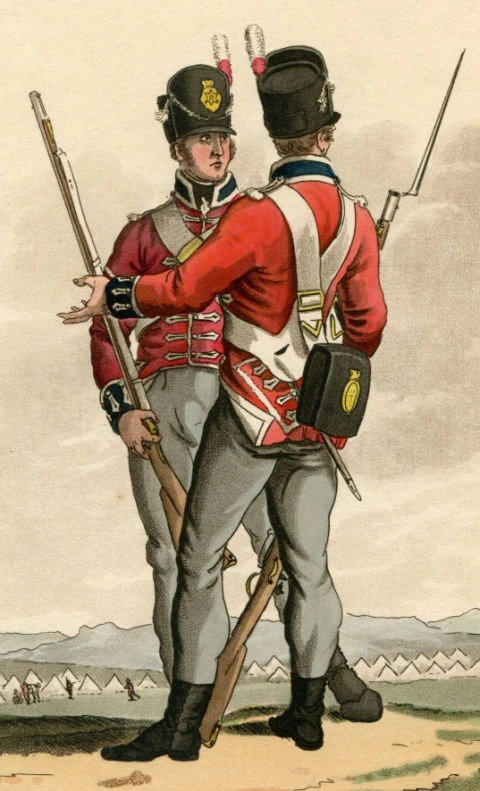 Britische Armee (1812) | Von Bastille bis Waterloo. Wiki | Fandom